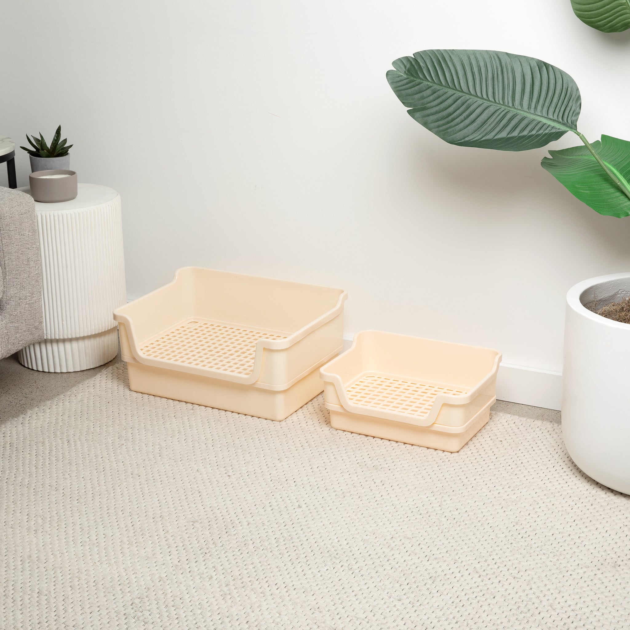 HoppScotchBun: Hop In for Purrr-fect Bunny Essentials & More ...